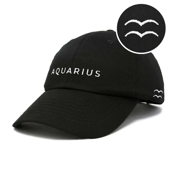 Accessories | Zodiacsign Aquarius Hat Womens Embroidered Ball Cap ...